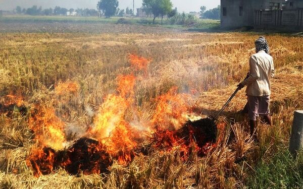 CAQM actively monitors paddy residue burning events for NCR and ...