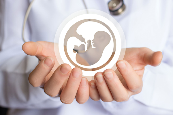 Indira IVF incorporates AI tool ‘Life Whisperer’ to make IVF pregnancy ...