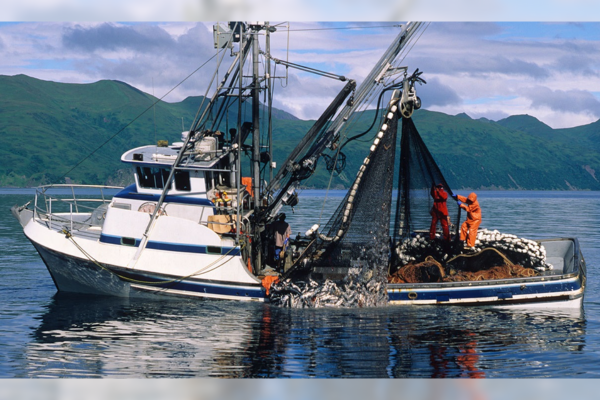 ISRO to build mobile satellite terminals on 1 lakh fishing boats | APAC ...